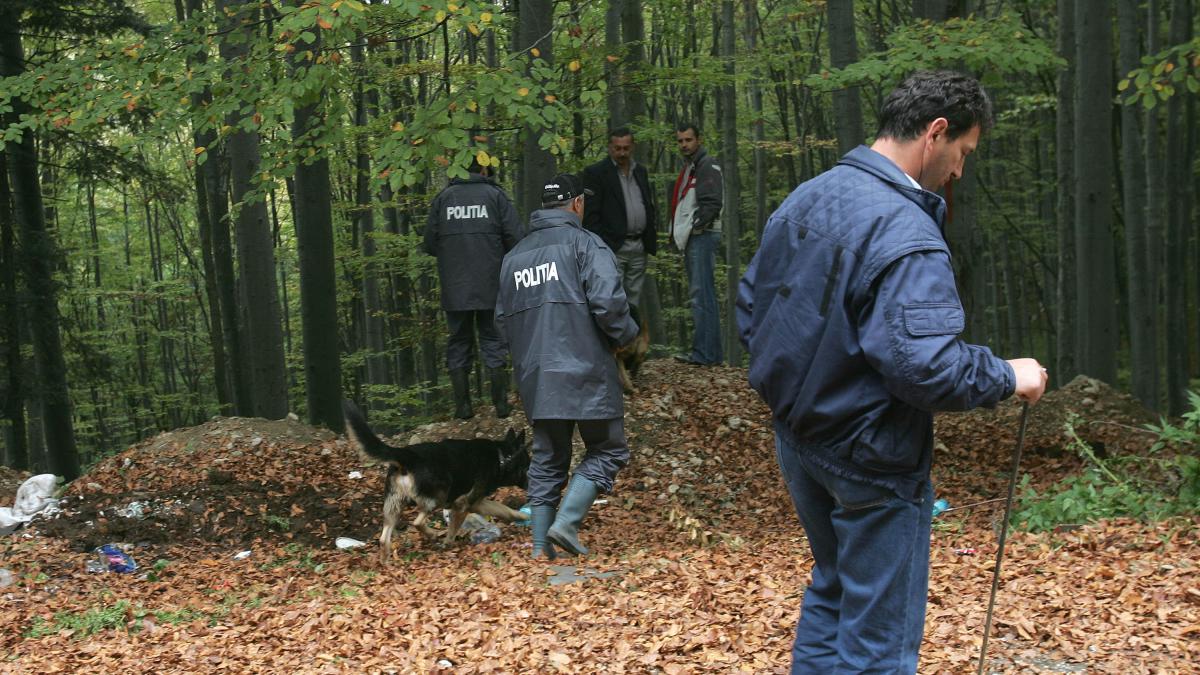 Cazul Elodia - Căutarea acului in carul cu făn