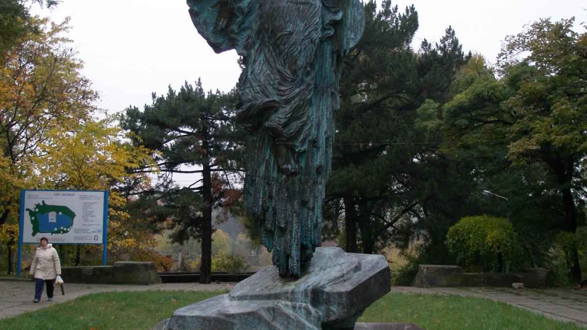 Doina şi Ion Aldea-Teodorovici ca oaste