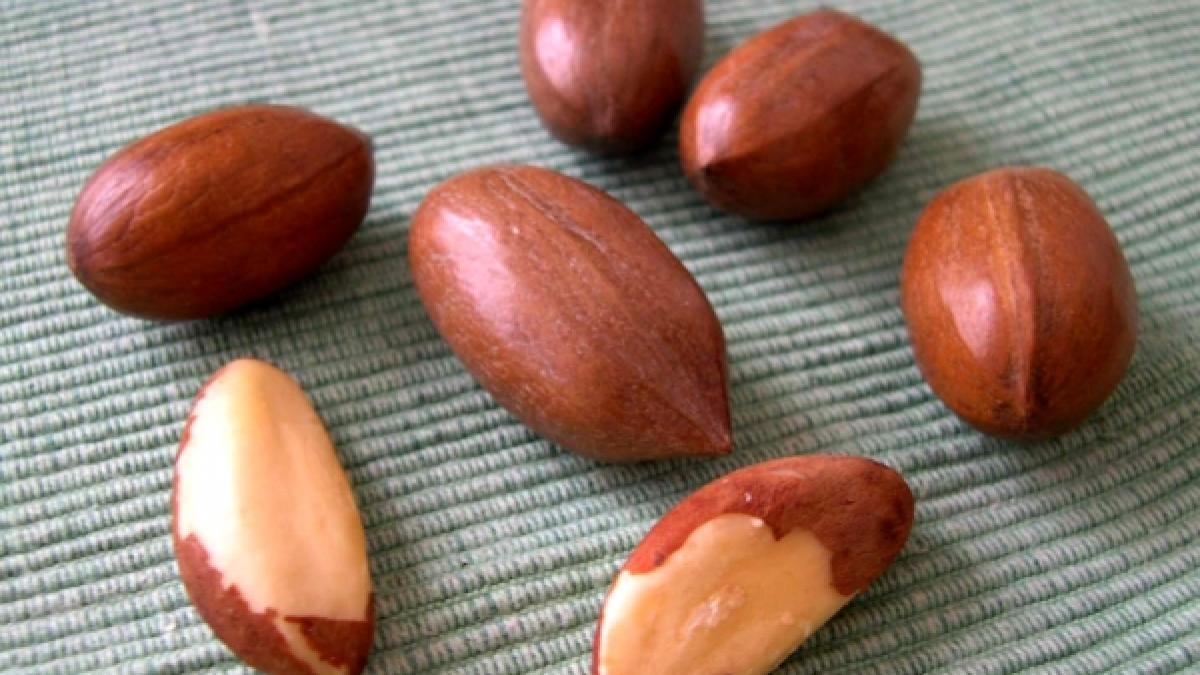 De ce nuci de Brazilia?