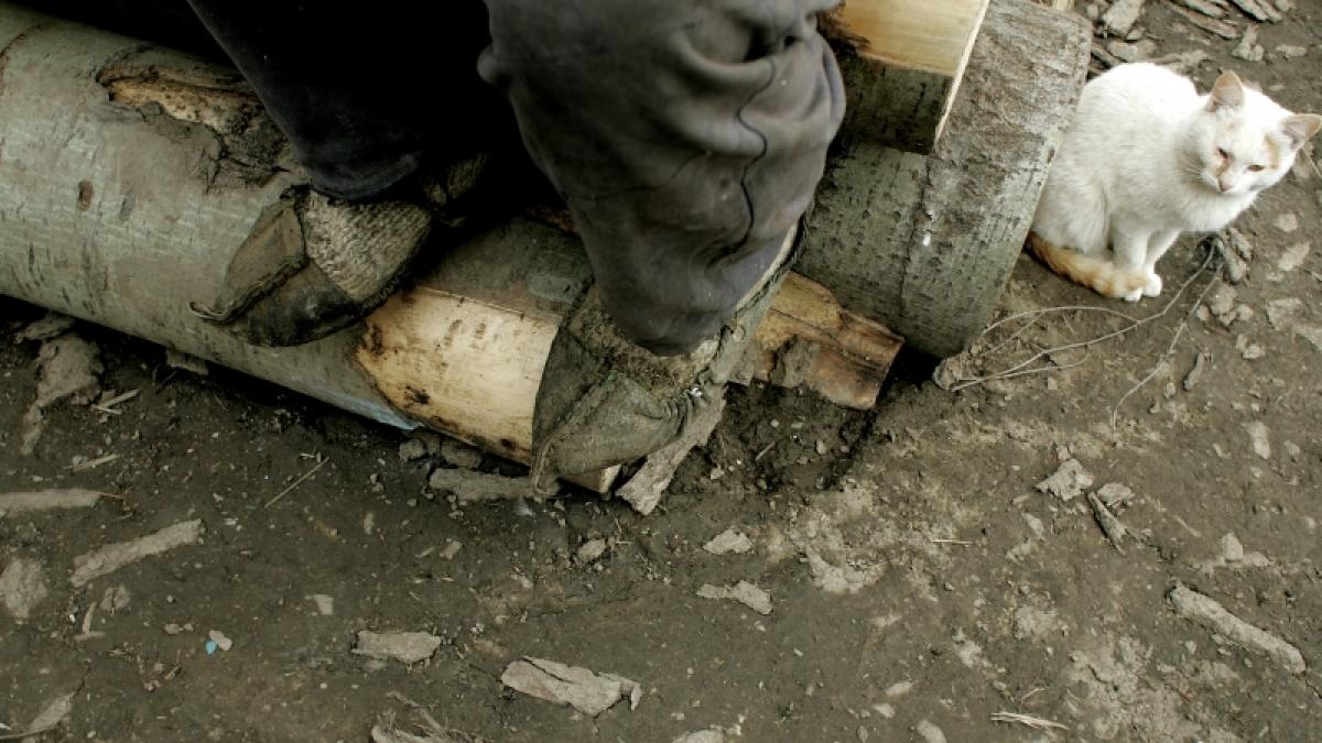 "Sărăcia nu e eternă, dar are putere de inerţie‘‘