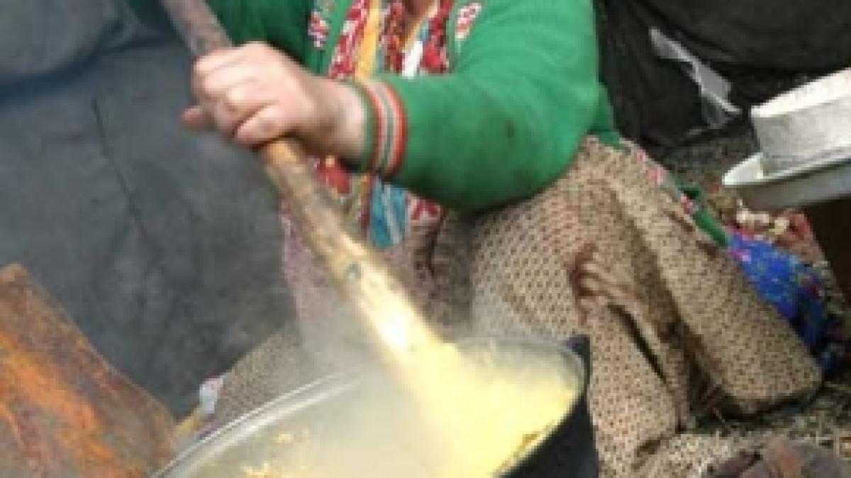 Propunere Jurnalul Naţional: "Ţigan" în loc de "rom"