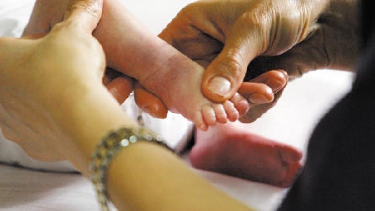 Micuţele păsări Phoenix