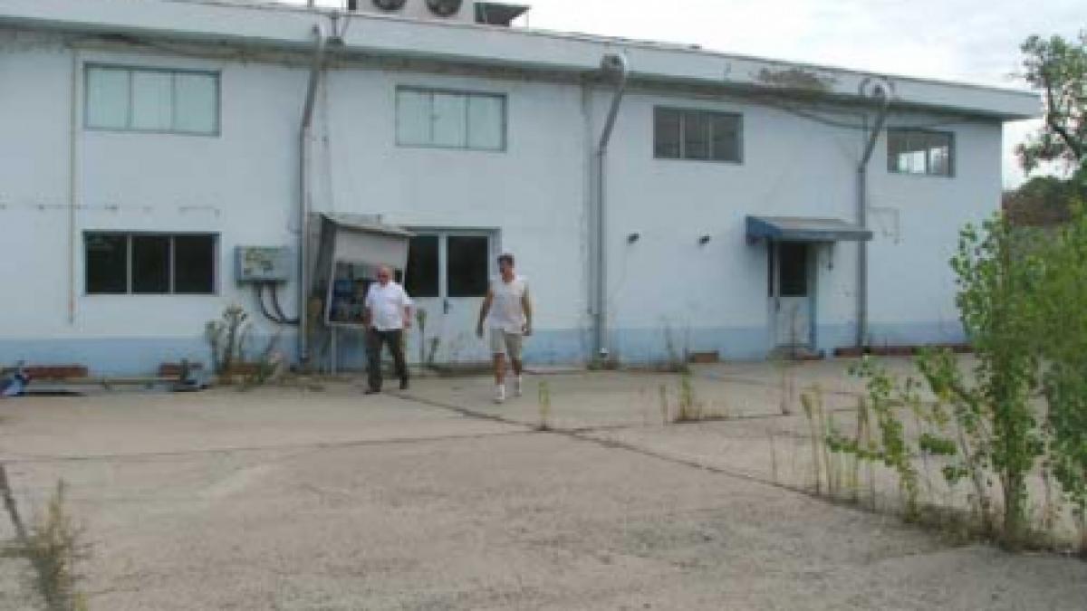 Senatorul Marius Necula, acuzat că a falimentat o fabrică privată