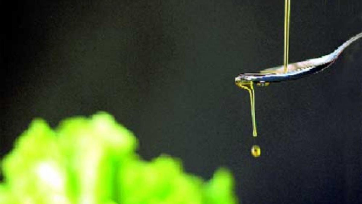 Seminţele de cânepă