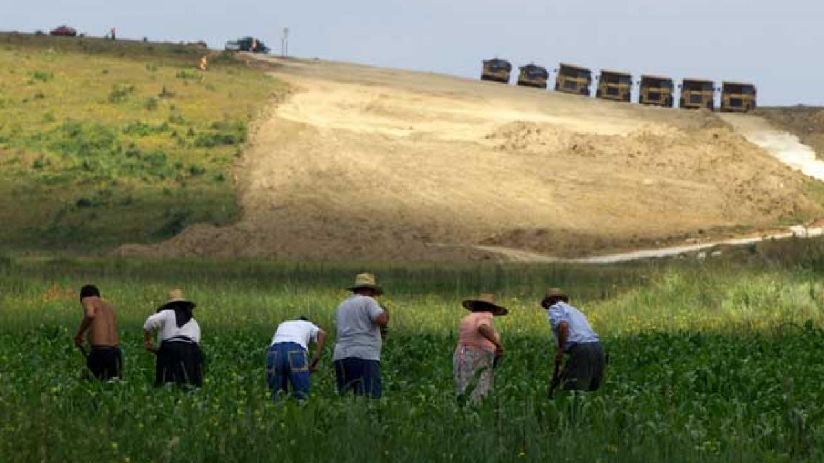 95.000 de români câştigă 1.280 de euro lunar, muncind sezonier pe ...