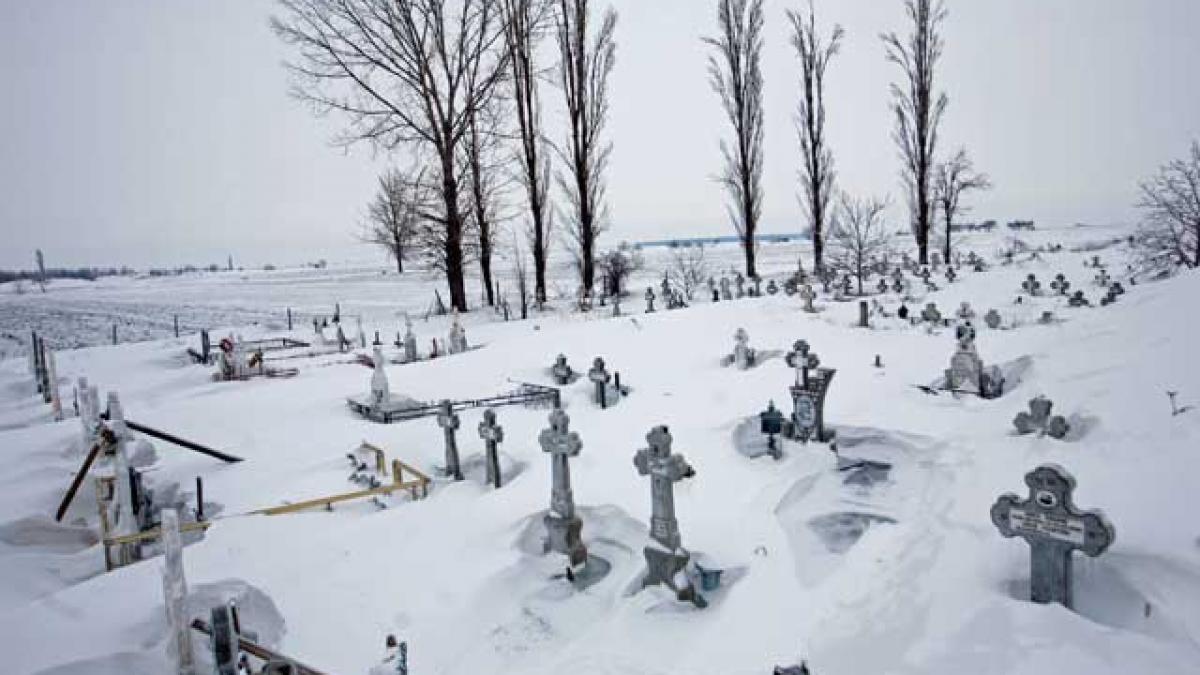 Nişte beţivi leneşi din România tropicală
