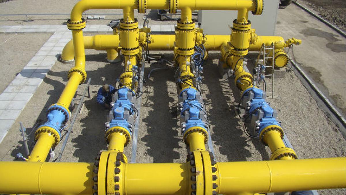 Statul roman spera sa obtina 300-400 milioane de lei din vanzarea a 15% ...