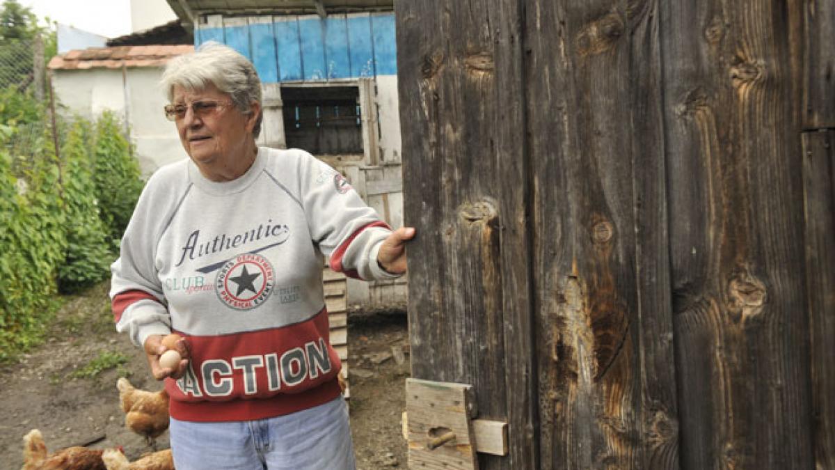 Mama FNI, Ioana Maria Vlas: “Acum sunt un ţăran obişnuit din Nou Român”