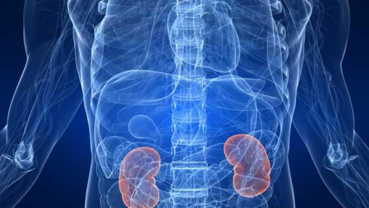 Cu rinichii la control!