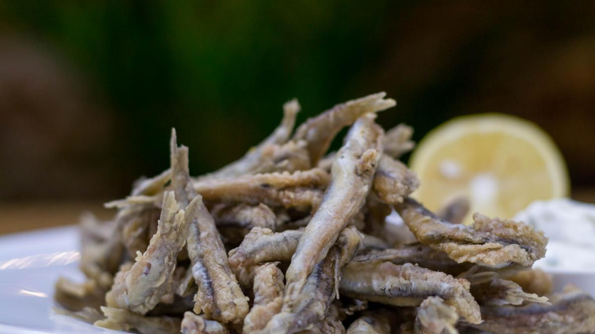 Poveștile Ancorei. Odă pentru hamsie