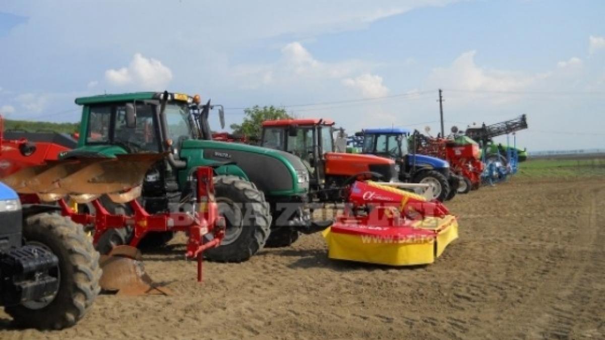 Succes rasarit din seminte. Agricultura de top la firma romanului ...