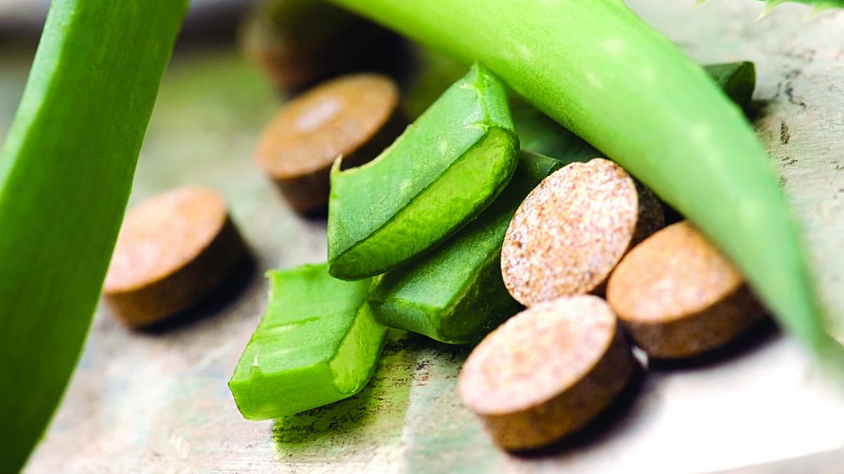 Naturisme. Aloe şi spirulină pentru siluetă