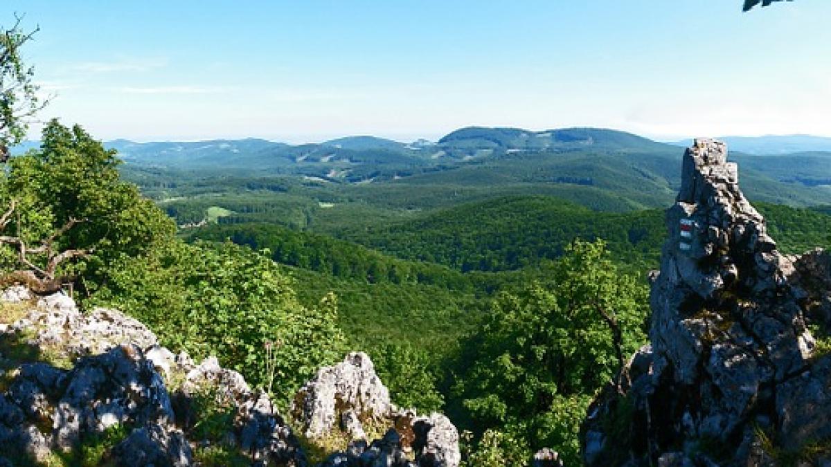 Păduri seculare de fag din România, înscrise în Patrimoniul Mondial UNESCO