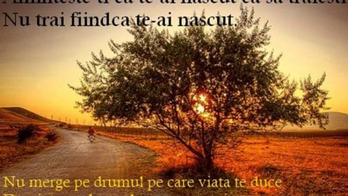 10 principii ZEN care îți vor schimba perspectiva asupra vieții