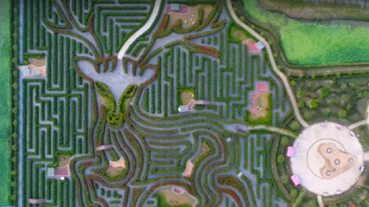 VIDEO Cum arata cel mai mare labirint din lume!
