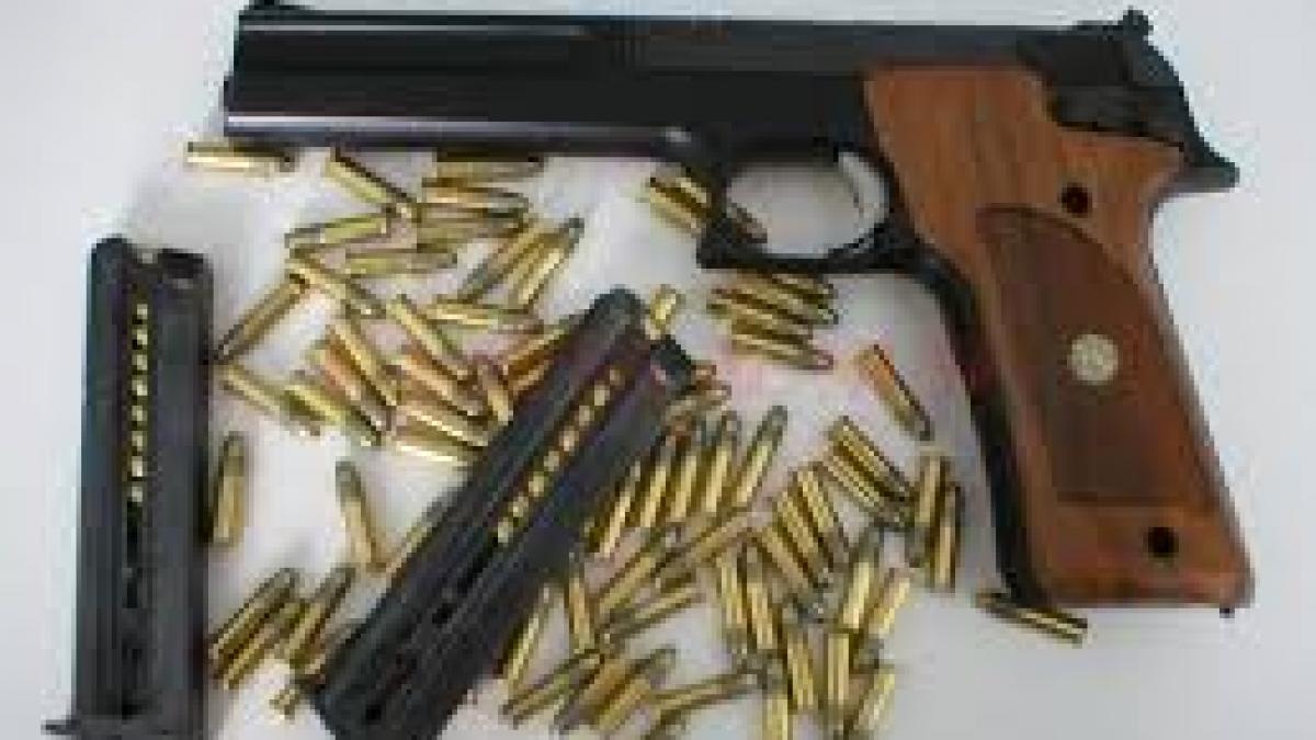 Mehedinţi: Două pistoale şi elemente de muniţie au fost găsite în ...