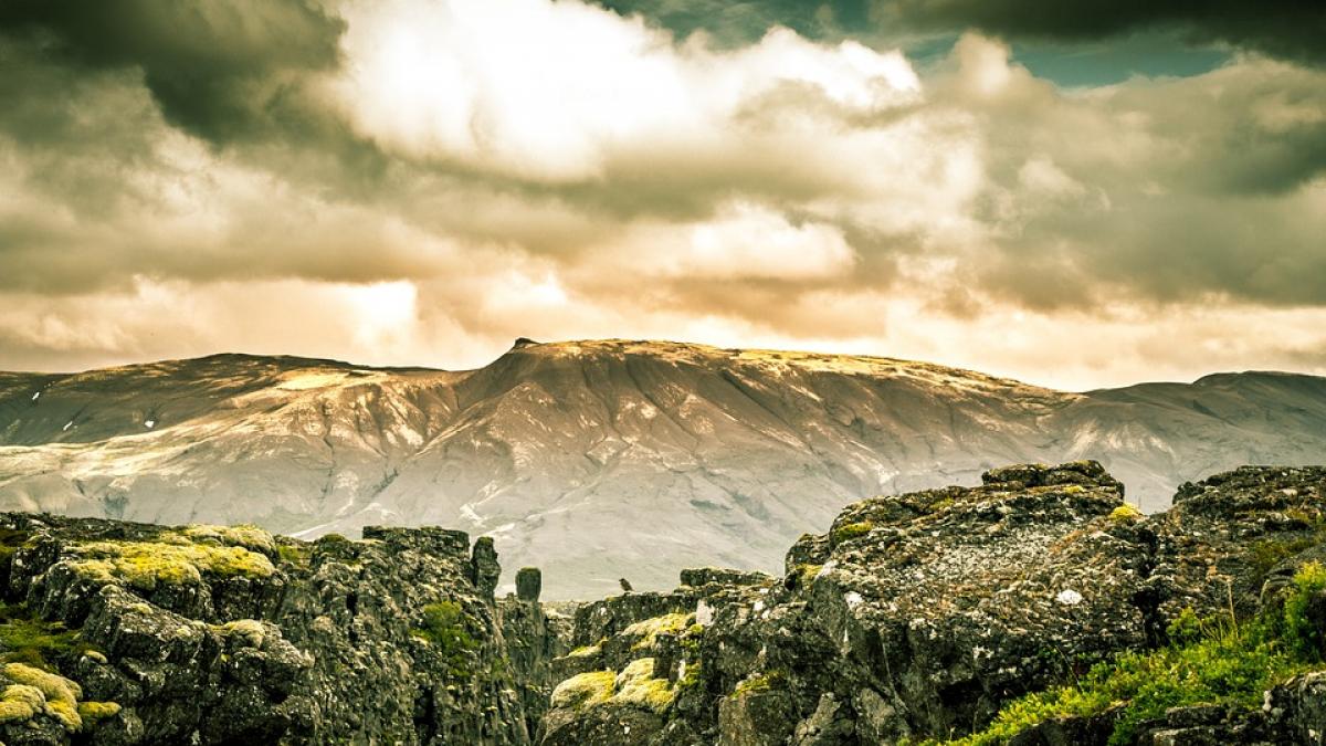 Catastrofă în Brazilia. Defrișările masive ale Pădurii Amazoniene ating ...