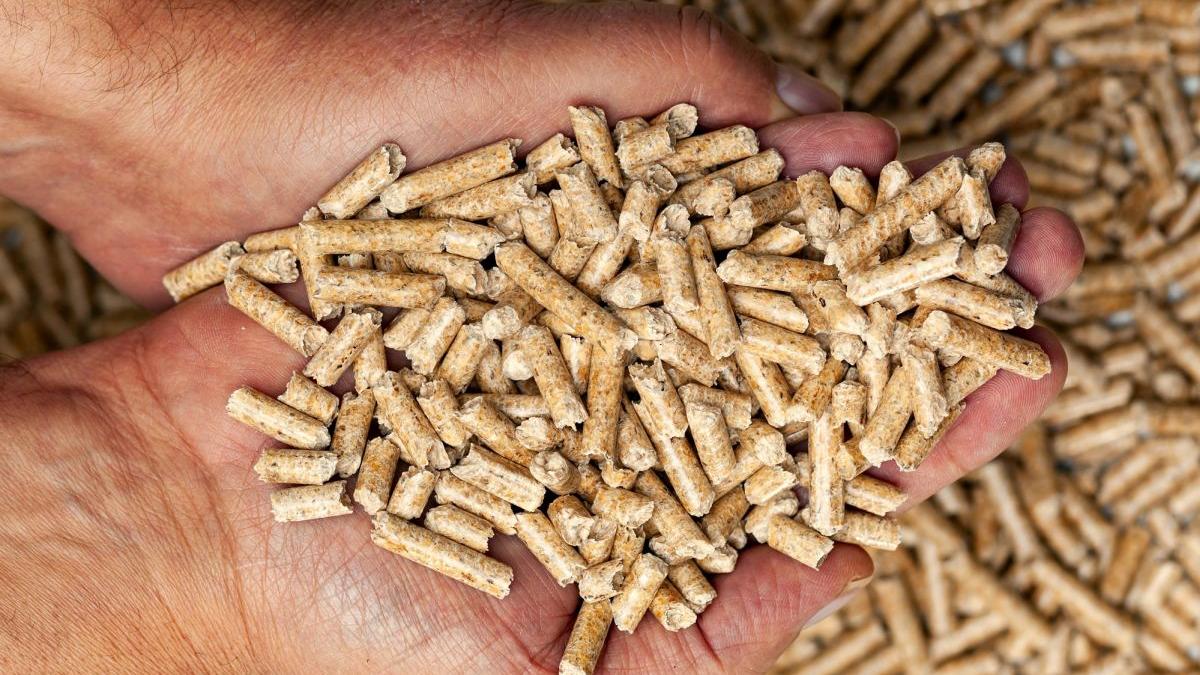 Ce peleti trebuie să alegi de pe piață și de ce