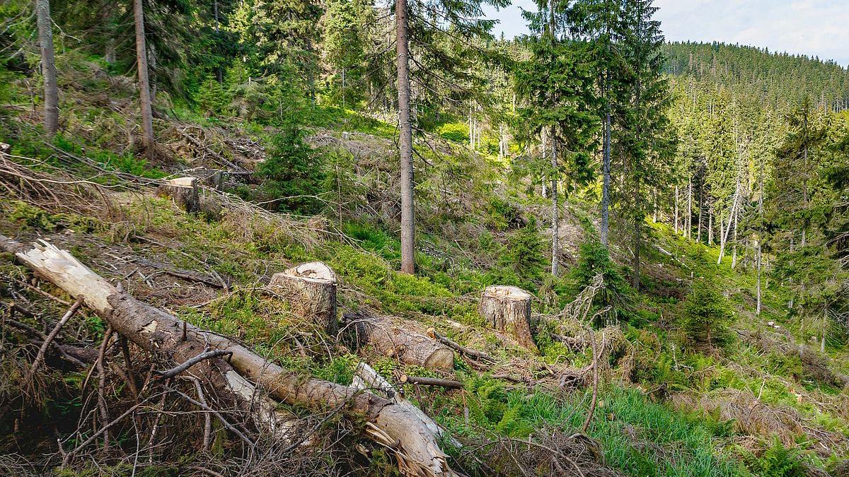 În primele nouă luni ale anului, Poliția Română a constatat 10.143 de ...