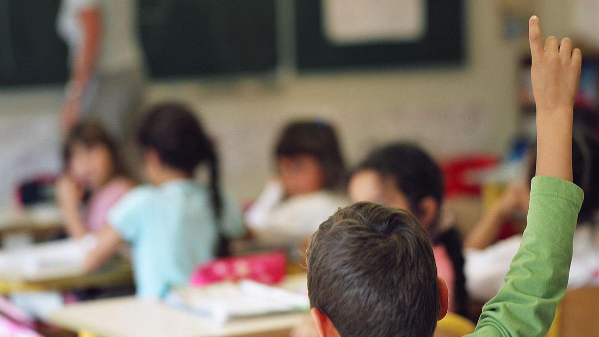 Segregarea în învățământ, de la creșă până la facultate, interzisă prin ...