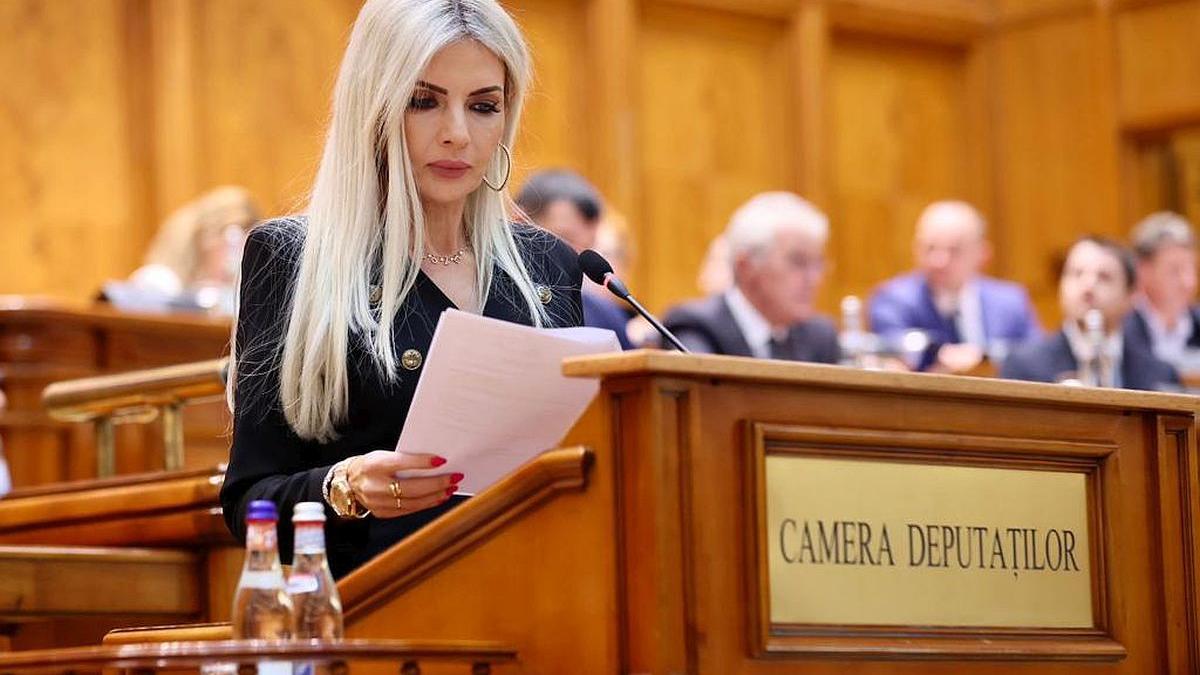 Nouă meserie: asistent de judecător