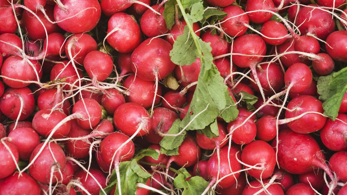 Dulce sau ușor picantă, ridichea este un remediu natural pentru ...