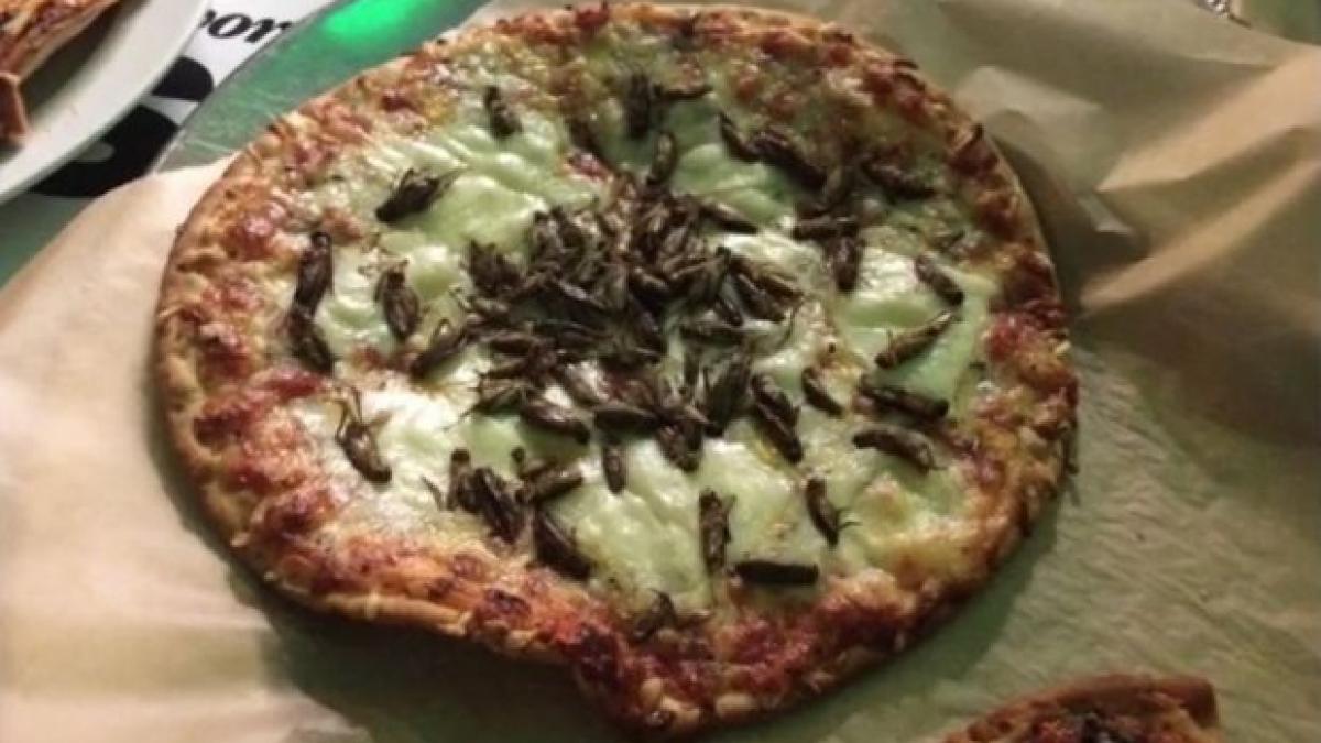 Pizza cu greieri, la mare căutare. Zeci de bucăți vândute în două zile