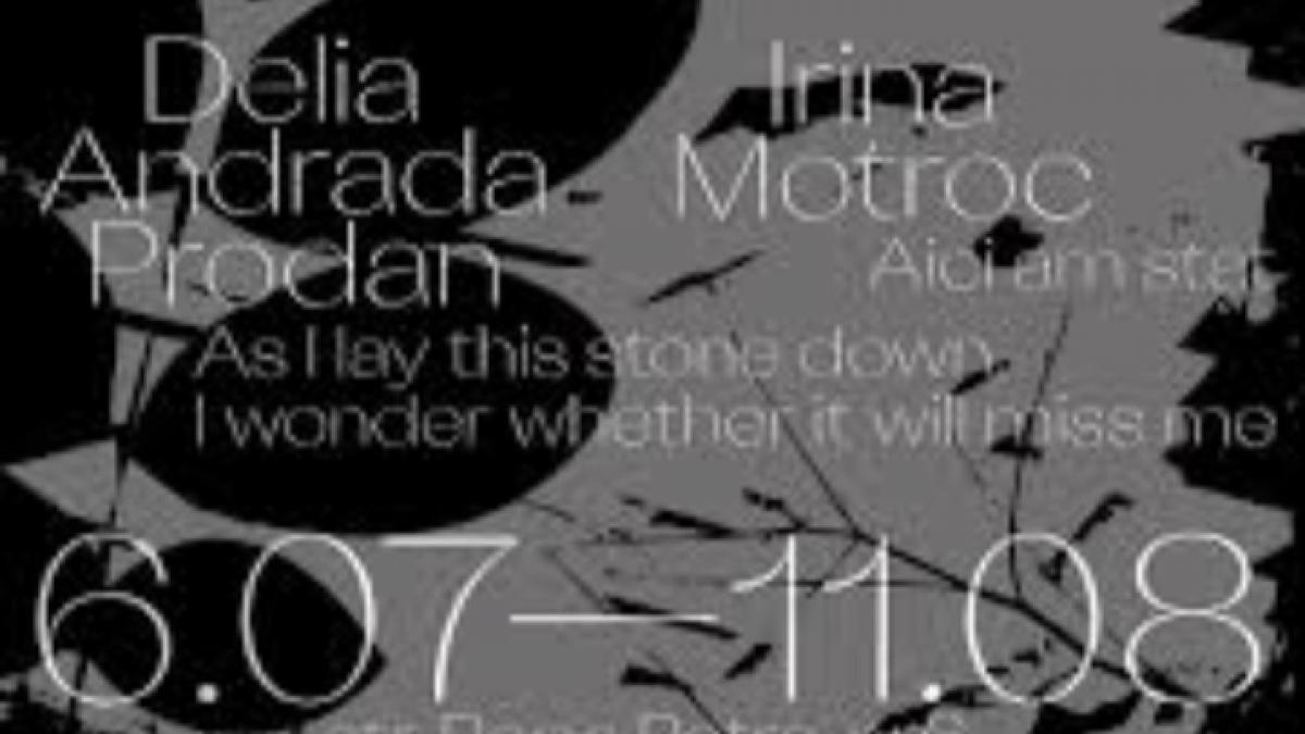 Master 2023 Delia Prodan Irina Motroc