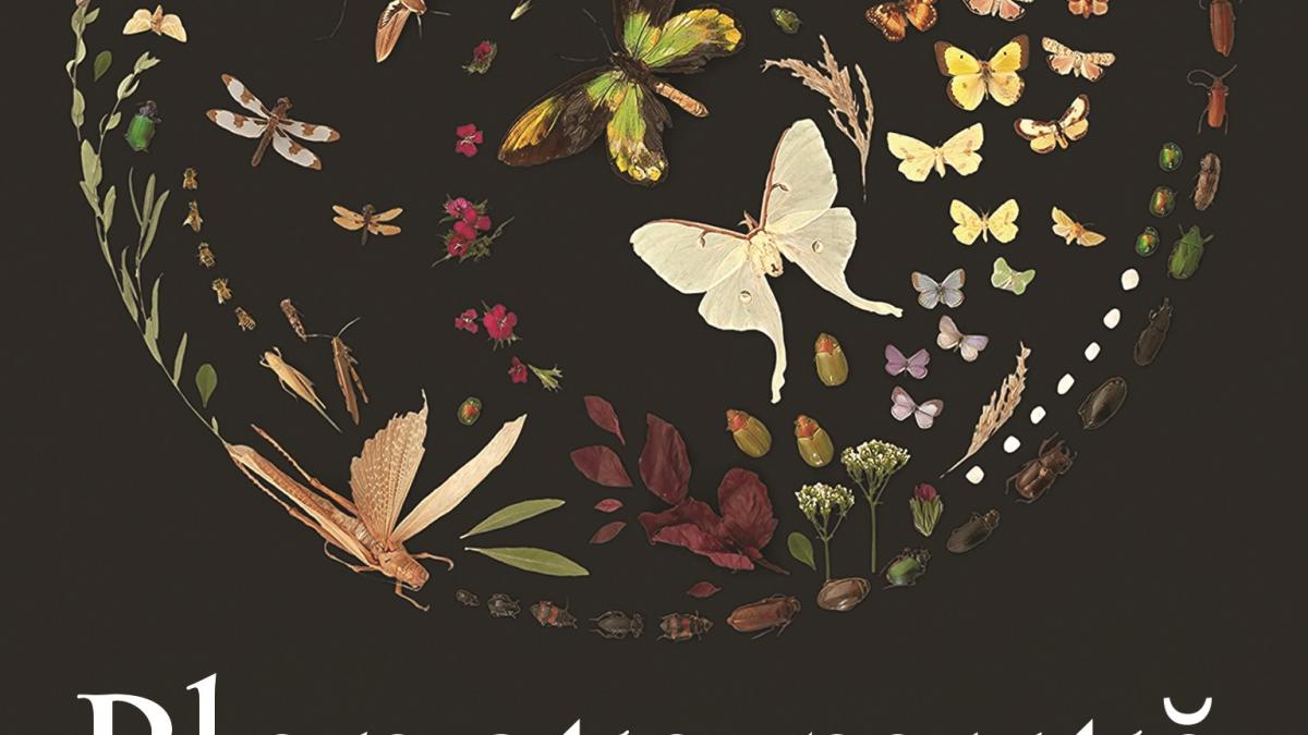 Planeta mută, o lectură captivantă despre originea insectelor, istoria ...