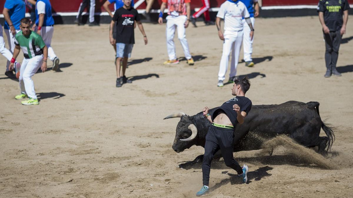 Ucis de taur, la un festival spaniol