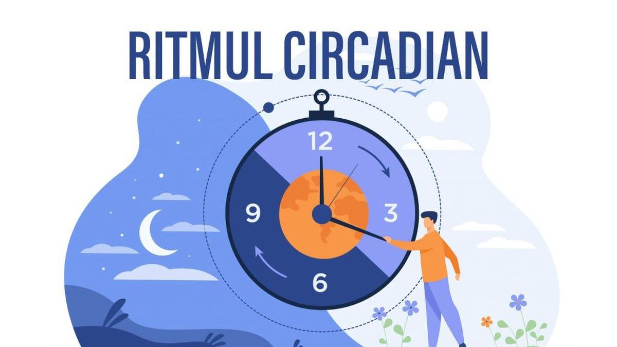 Știți ce este ritmul circadian?