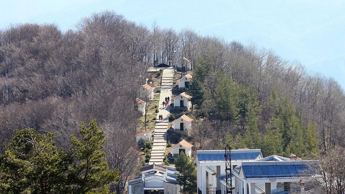 Cum am început să visăm (la) „cai verzi pe pereți”