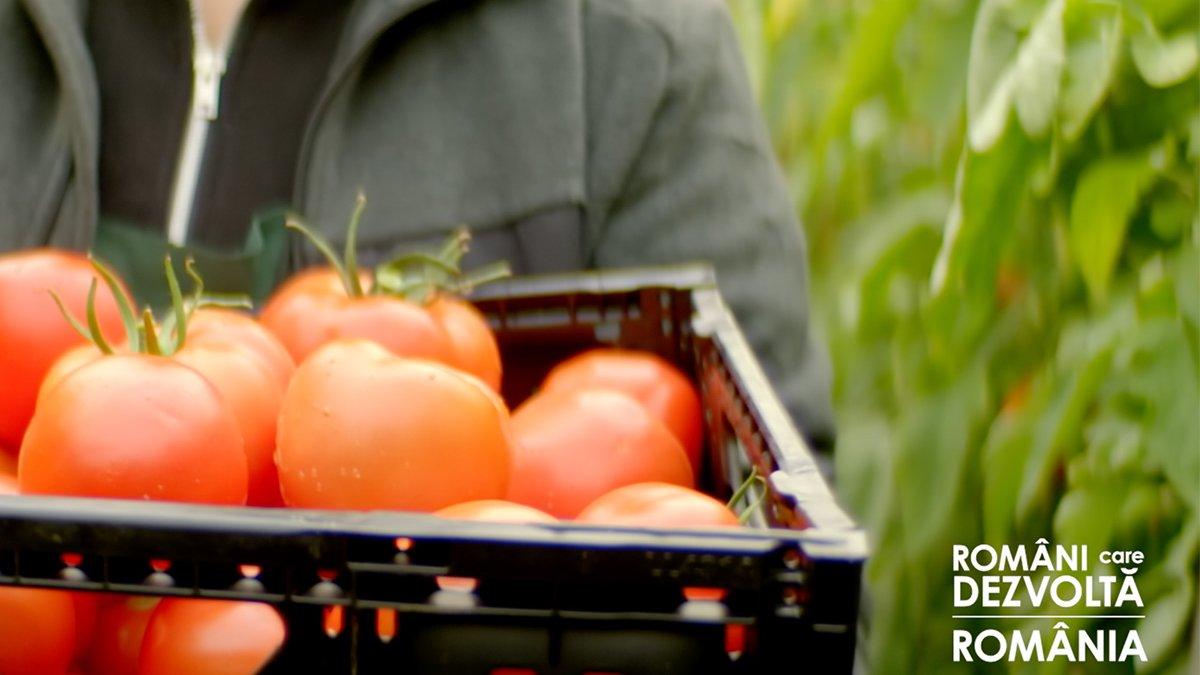 TripluRO (3RO), peste 800 de produse la raft | Români care dezvoltă România