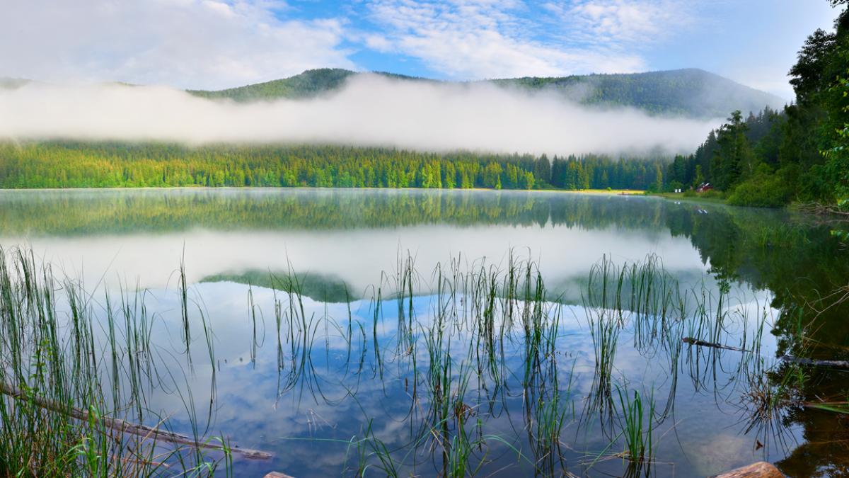 Monument al naturii transformat în dezastru ecologic: Carasul argintiu ...