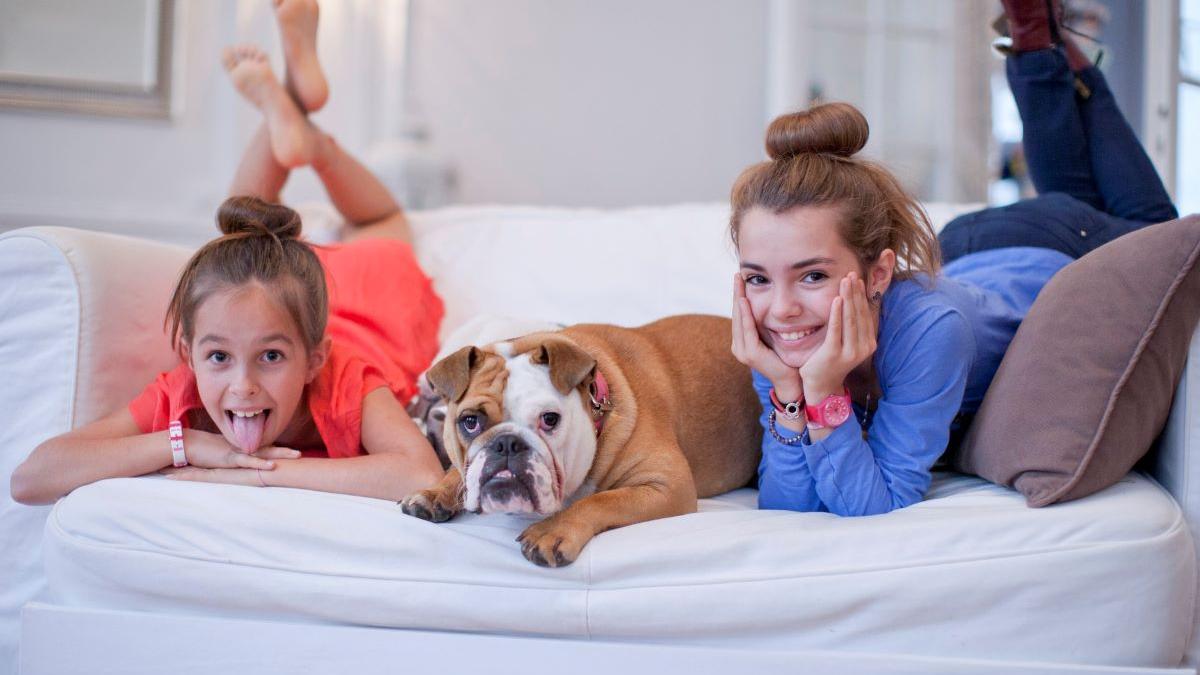 Câinele, cel mai bun prieten al copilului tău. Iată rasele blânde ...