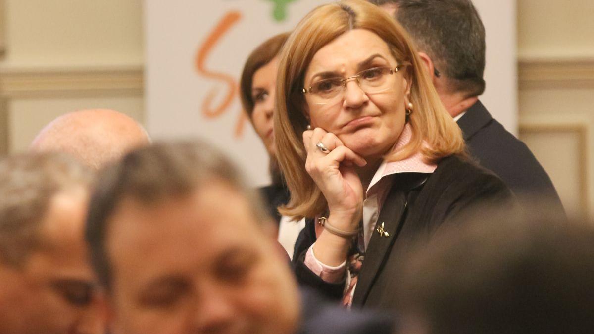 Dispută în mediul online între Eduard Novak şi Elisabeta Lipă, pe tema ...