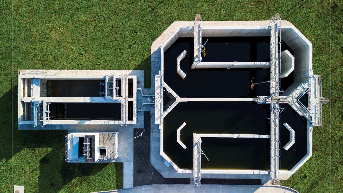 O afacere 100% românească, întotdeauna cu un pas înainte