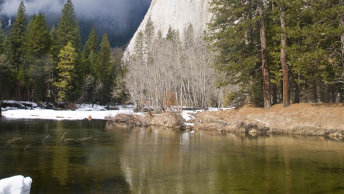 Interpretarea viselor: Ce înseamnă când visezi apă?