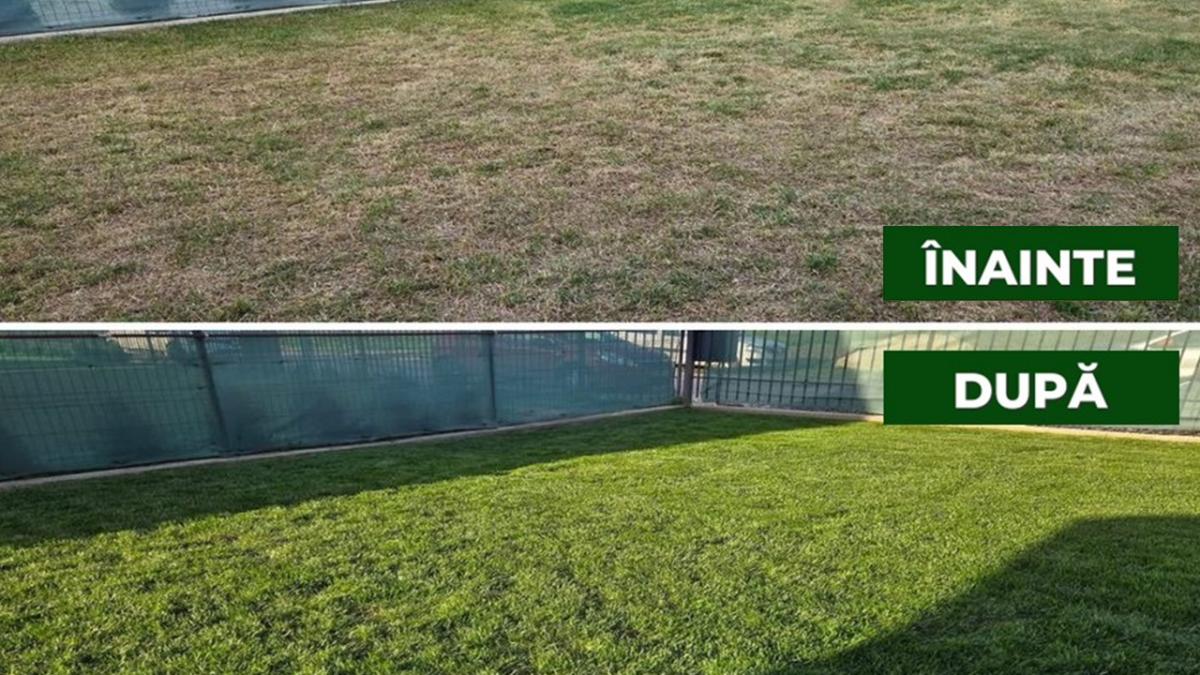 Gazonul tău e cu toane? Află cum fertilizarea foliară cu îngrășăminte ...