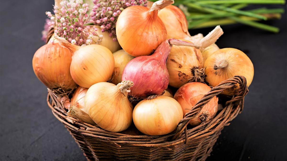 Cum tai ceapa fără să plângi? Fizicienii au răspunsul