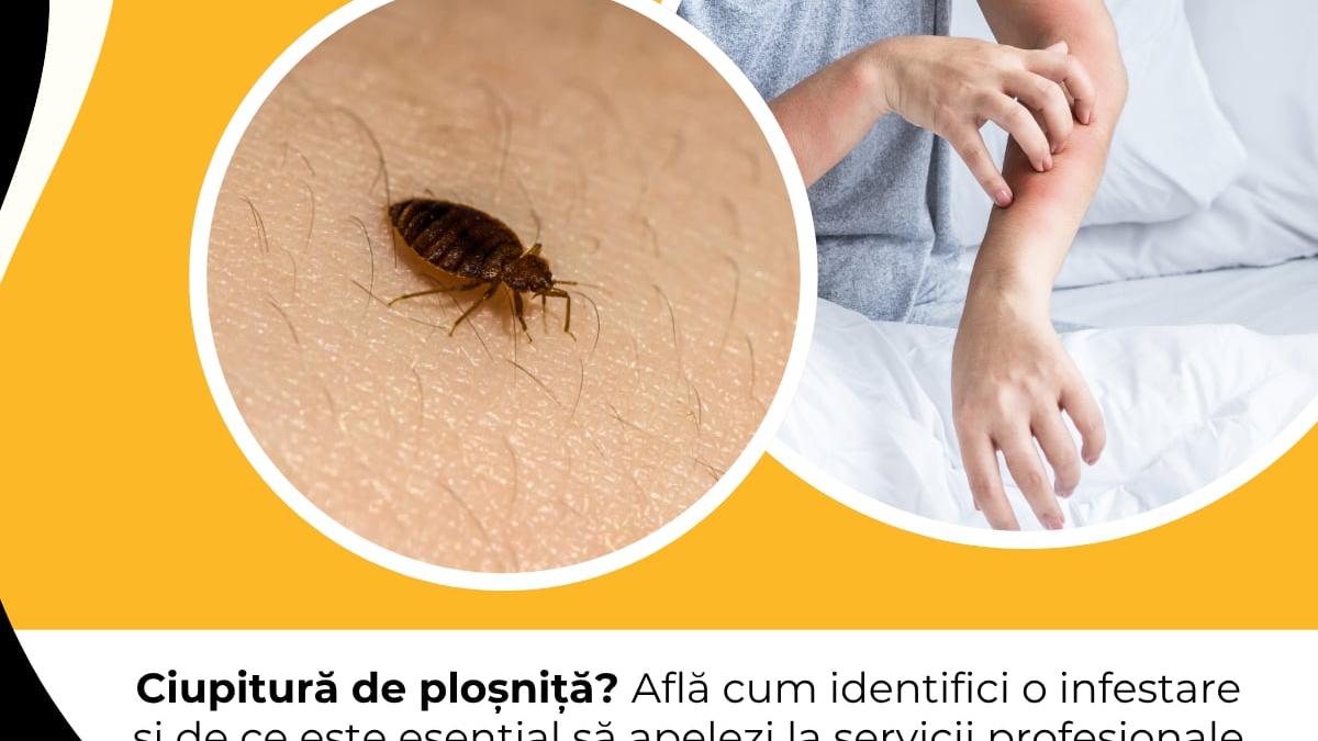 Ciupitură de ploșniță? Află cum identifici o infestare și de ce este ...