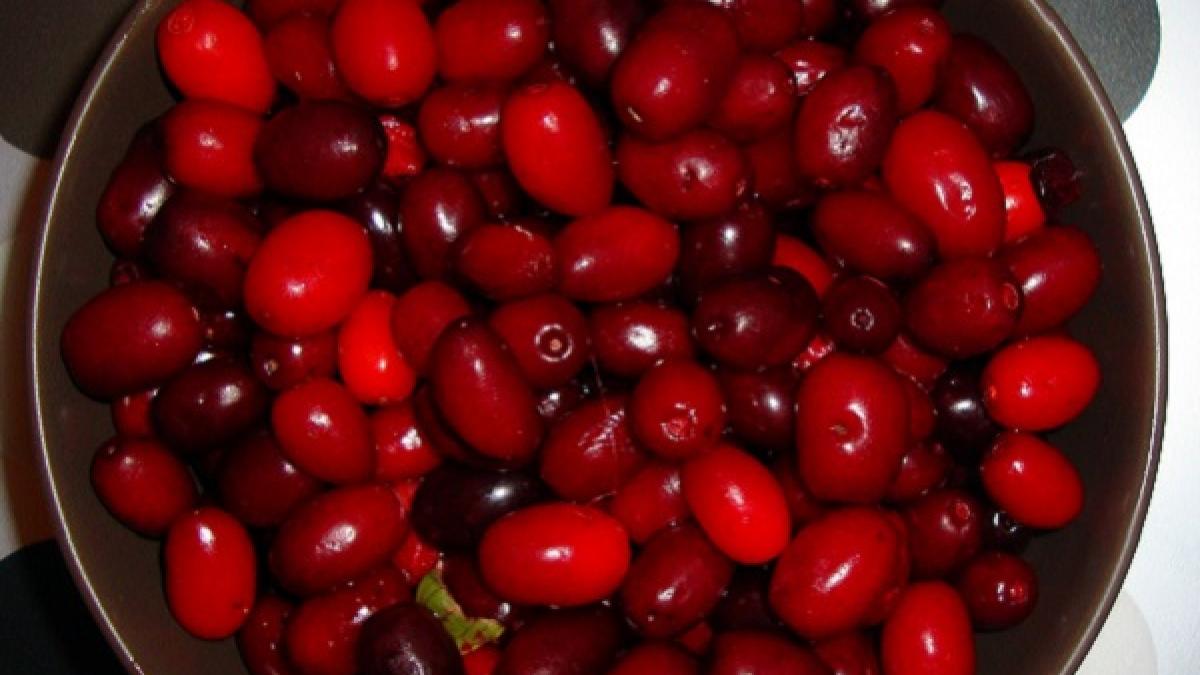 4 rețete cu coarne de pădure. Beneficii pentru sănătate