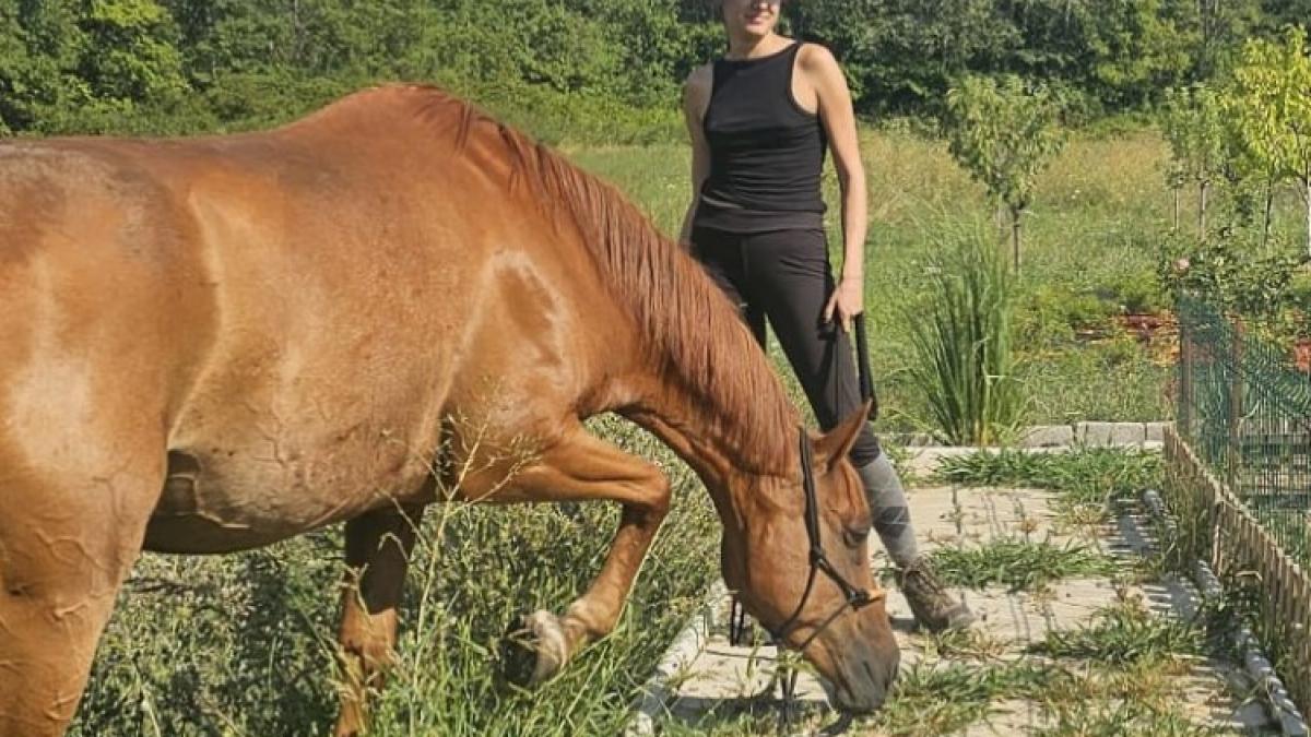 Rebecca Nicolescu, vacanță între echilibru și libertate: ”Animalele mă ...