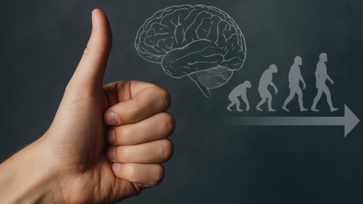 Vrei să știi cât de deștept e cineva? Uită-te la mâini