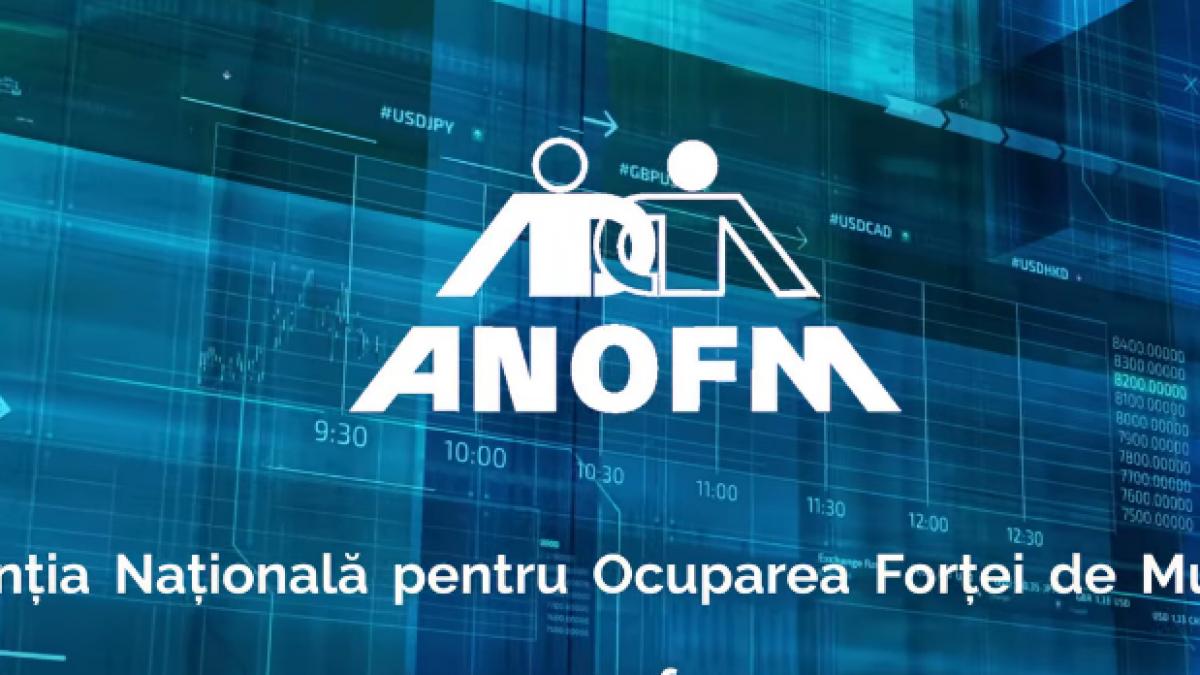Haos de 22 de milioane de lei pe banii statului, la ANOFM