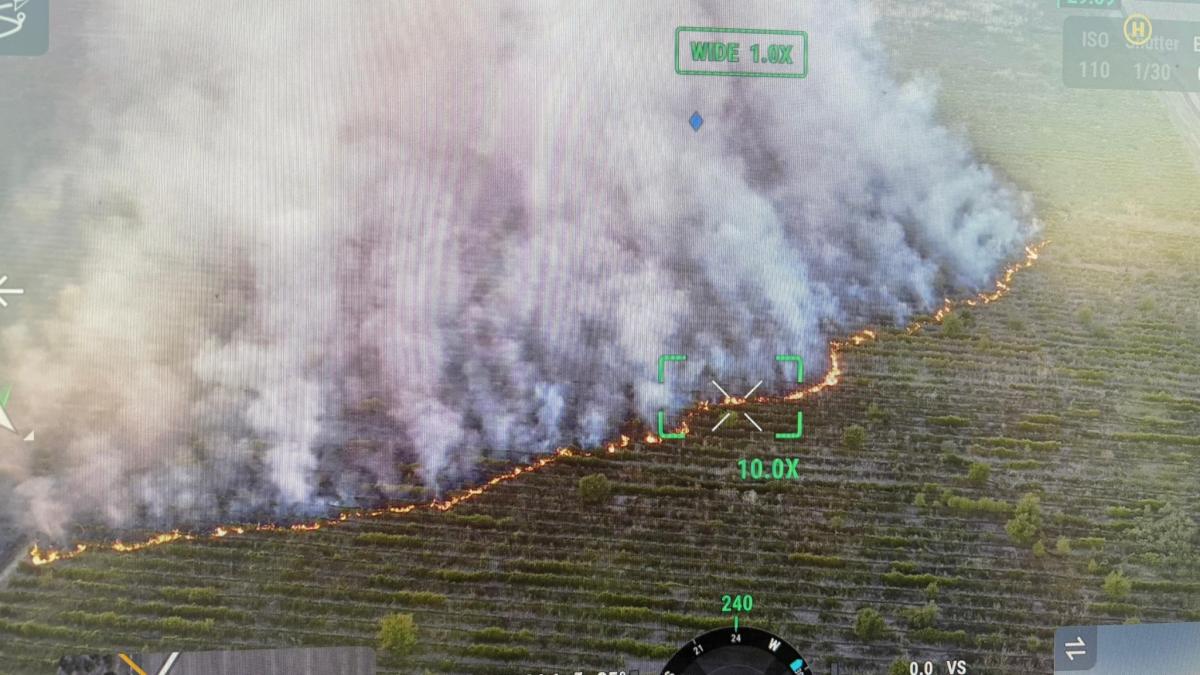 Incendiu uriaș în Teleorman: Zeci de hectare de vie și livezi au fost ...