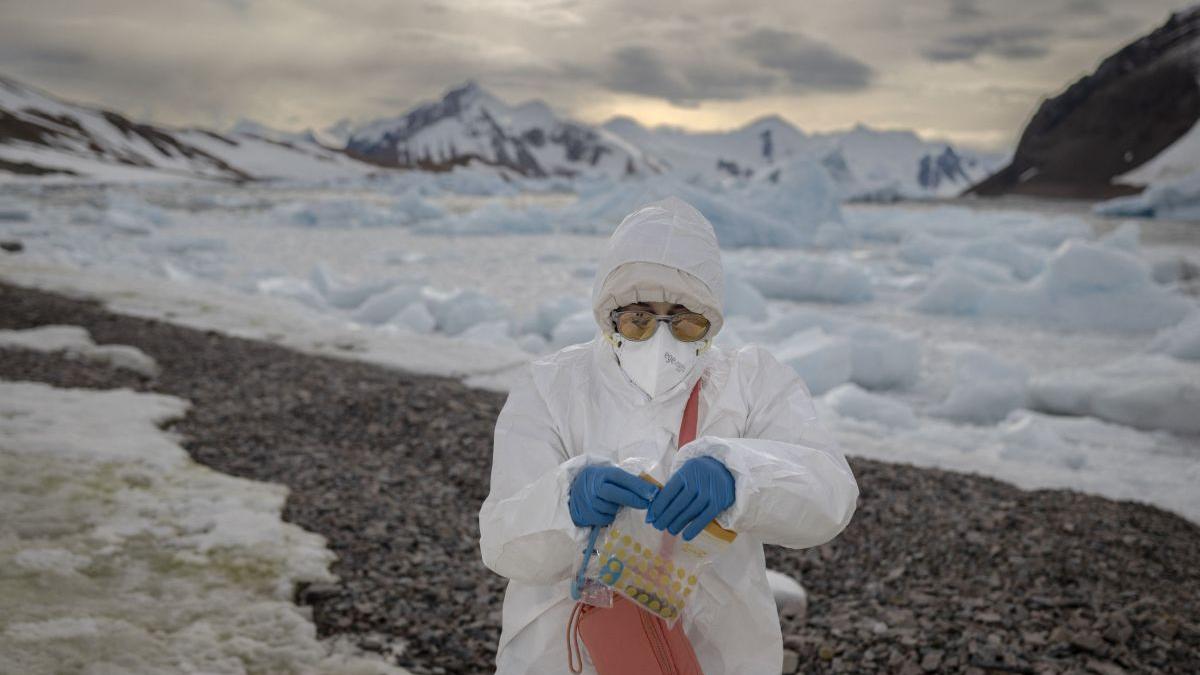 Vrei job în Antarctica? Întâi trebuie să-ți scoți apendicele și molarii ...