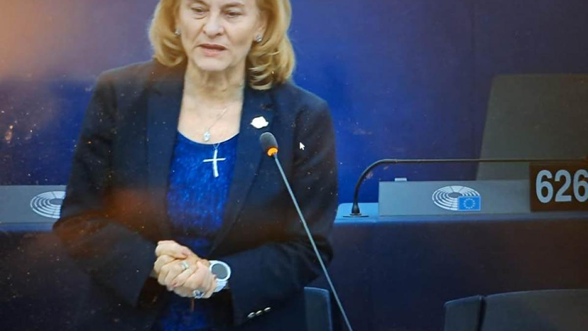 Maria Grapini: „Nu mai putem hrăni Europa cu brațele goale! Fermierii ...