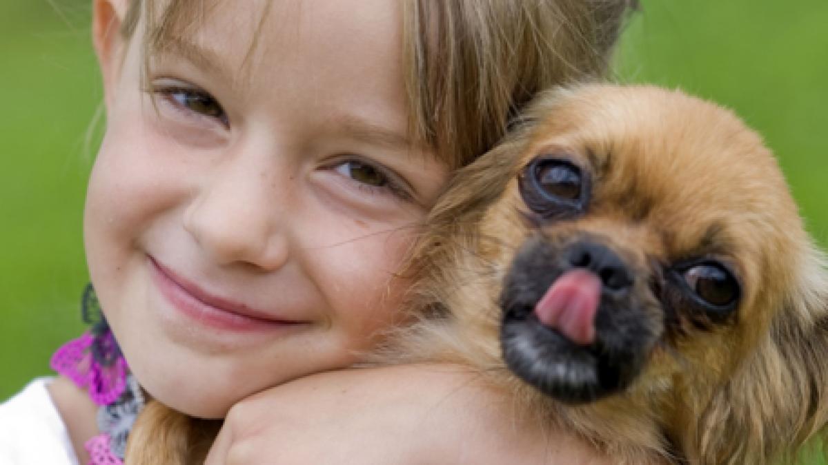 7 cele mai rezistente rase de câini. Sunt sănătoase și longevive