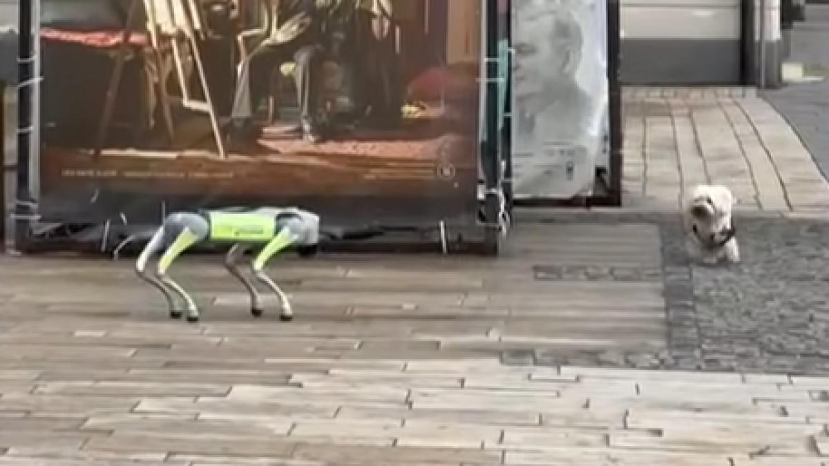 Roboți-gunoieri într-un oraș al României